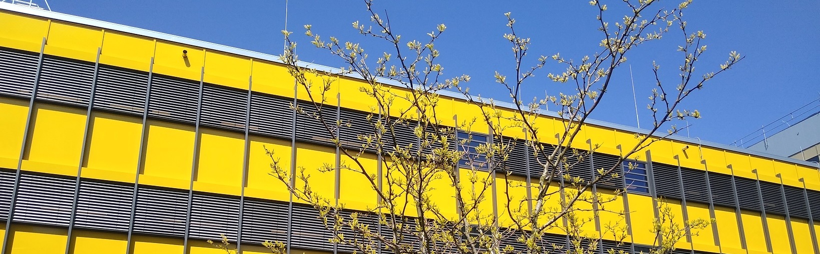 ZHB: Zentrale Hochschulbibliothek Lübeck